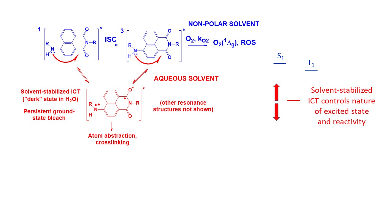 Stimuli-Responsive Nanogels - Kelly Research Lab - UMBC